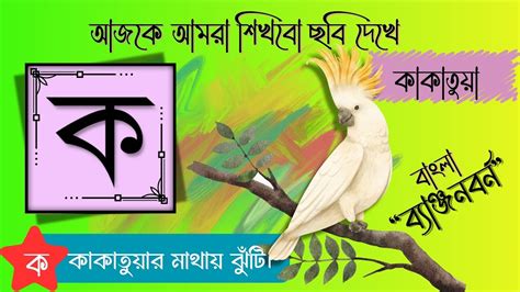 ছবি দেখে বাংলা ব্যাঞ্জনবর্ণ ক খ গ ঘ কয় কাকাতুয়ার মাথায় ঝুঁটি। Bengali Banjonborno