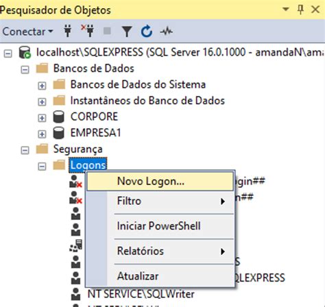 Criar novo usuário ou editar SQL SERVER