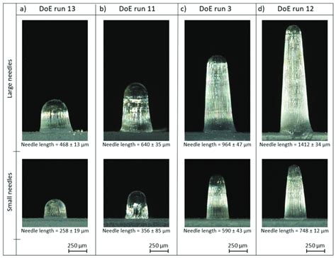 Illustration Of One Replicated Large And Small Microneedle From Array Download Scientific