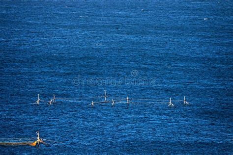 The Nets In The Sea Stock Image Image Of Hoop Fyke 160349279
