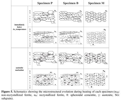 Illustrates The Effects Of Nb Addition And Initial Microstructures On Download Scientific