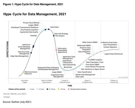 gartner hypecycle michaela schopperle