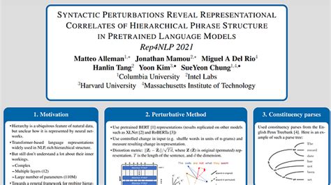 Underline Syntactic Perturbations Reveal Representational Correlates