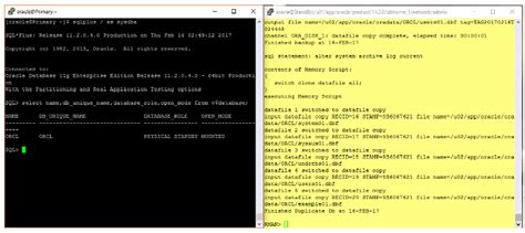 How To Fail Over Reinstate Oracle Database On Oracle Cloud
