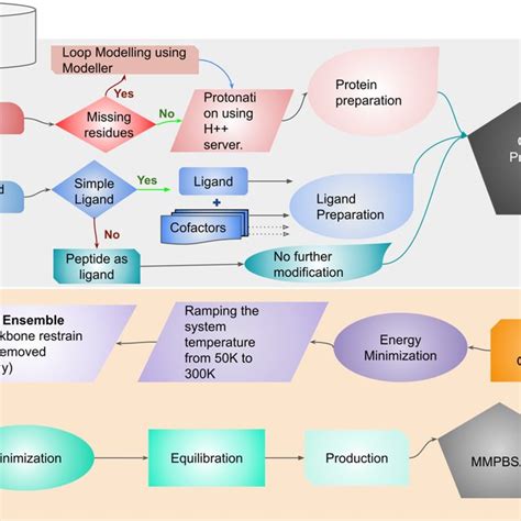 Protocol For Input Preparation And Simulations Download Scientific Diagram