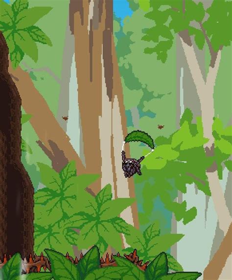 Webbed Ogre Faced Spider Location