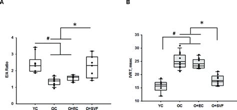 Diastolic Function Assessment Using Echocardiography The Graphical