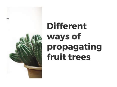 Lesson 1 Propagating Plants And Trees Pdf