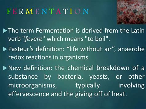 Bioprocess And Fermentation Technology Pdf Biological Sciences Science