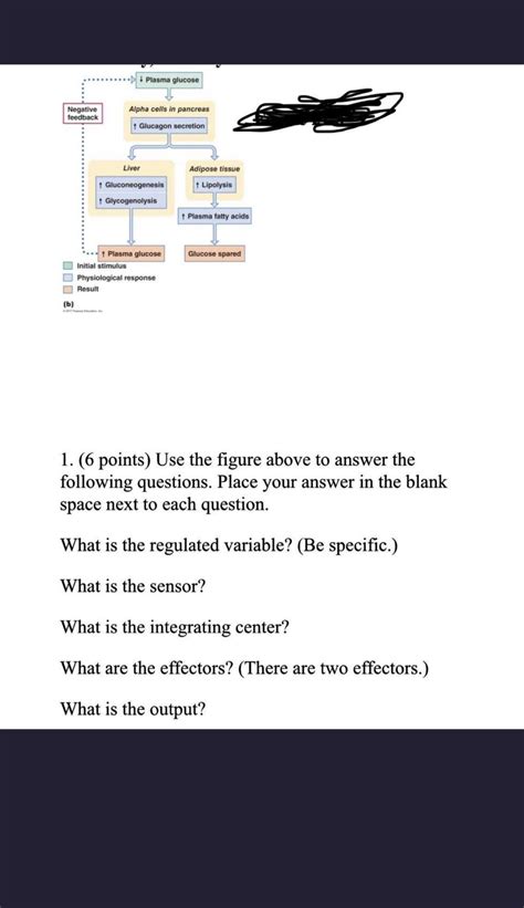 solved b 6 ﻿points ﻿use the figure above to answer the