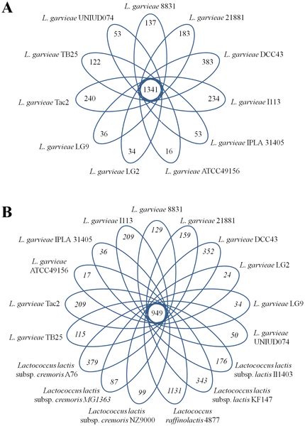 Lactococcus Garvieae Plos One