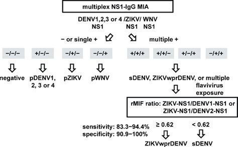 proposed algorithm of using multiplex ns1 igg mia to distinguish three