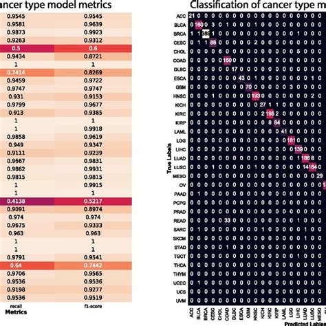Classification Of Tumor Type Classification Of Cancer Type The