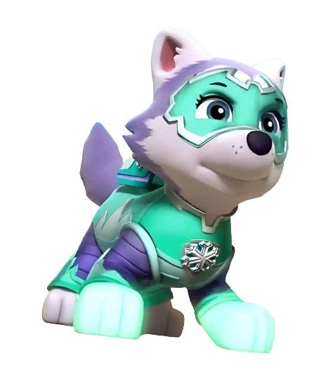Everest Mighty Pups Paw Patrol Cartoon Everest Paw Patrol Paw