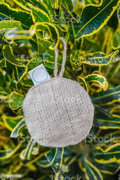 대마로 만든 천연 유기농 요리 또는 바디 스폰지 또는 녹색 배경에 대치 또는 삼베 친환경 미용 및 가정용 제품 제로 폐기물 지속 가능한 플라스틱 무료 라이프 스타일 제로