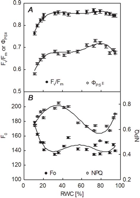 The Maximum Quantum Yield Of Psii Photochemistry Fv Fm The Effective Download Scientific