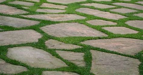 Flagstone With Grass Joints Installing Artificial Grass Between Pavers