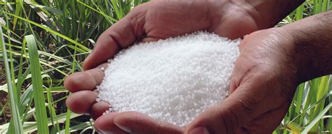Yaravera Urea Fertilisers Yara India