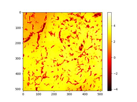 The Size Of Origin Prediction Issue HRNet HRNet Semantic