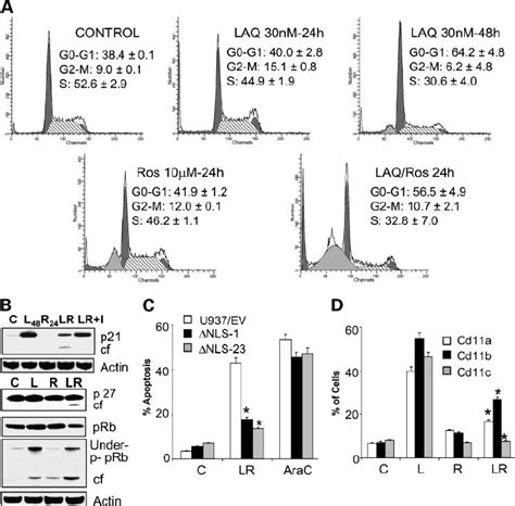 A Cell Cycle Analysis Following Exposure Of Cells To Agents Alone Download Scientific Diagram