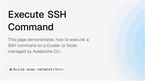 Execute Ssh Command Avalanche Builder Hub