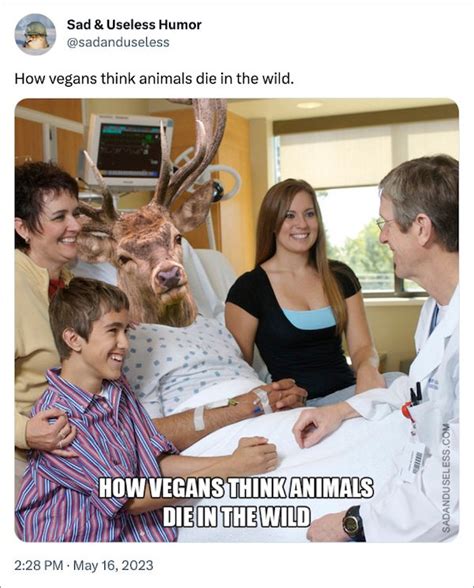 Vegan Memes Part 2 Fun