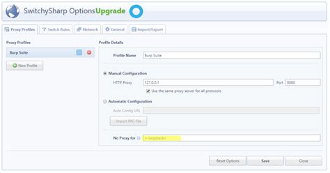 Internet Explorer Burp Interception Does Not Work For Localhost In