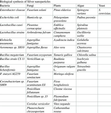 Some Important Examples Of Organisms Used For Synthesizing Silver