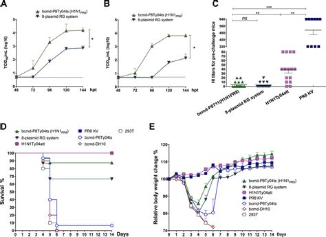 All In One Bacmids An Efficient Reverse Genetics Strategy For
