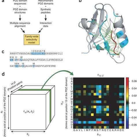 Comparing Unified Residue Pair Potentials With Our Model Parametersa Download Scientific