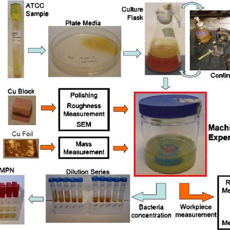 Pdf Surface Roughness And Material Removal Rate In Machining Using Microorganisms