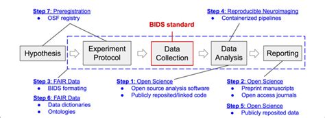 Figure Neuroimaging Workflow In The Brain Imaging Research Center In Download Scientific