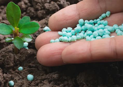 Crop Diseases Types Causes And Prevention Identify Control