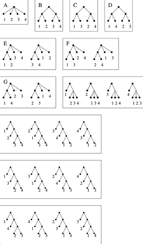 klein 4 group acting on t 4 download scientific diagram