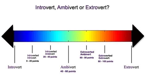 Zodiac Mania Extrovert Vs Ambivert Vs Introvert Wattpad