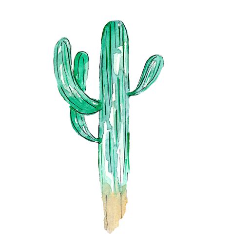 Saguaro 선인장 수채화 Pixabay의 무료 이미지 Pixabay