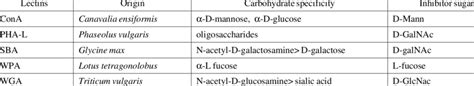Lectins Employed And Their Major Binding Specificities Download Table