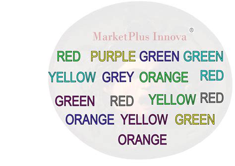 Marketplus Innova Los Tres Tipos De Cerebro Según Maclean Neocórtex