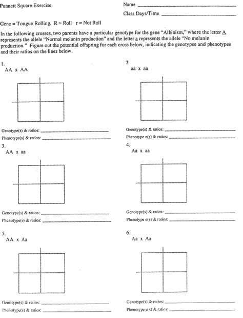 Solved Solve Punnett Square Exercise Punnett Square Exercise Name