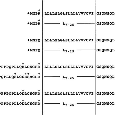 Amino Acid Sequence Of The Signal Anchor Domain Of H1 Mutant Download Scientific Diagram