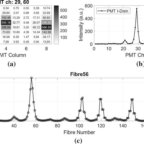 Average Intensity Recorded By The Multi Anode Pmt For All Neutron