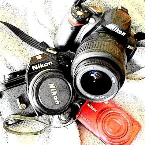 Enter 2023 Lens On Litter Photo Contest PRC