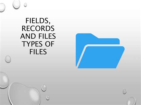 Fields Record And Files Types Of Files From Usage Point Of You Ppt
