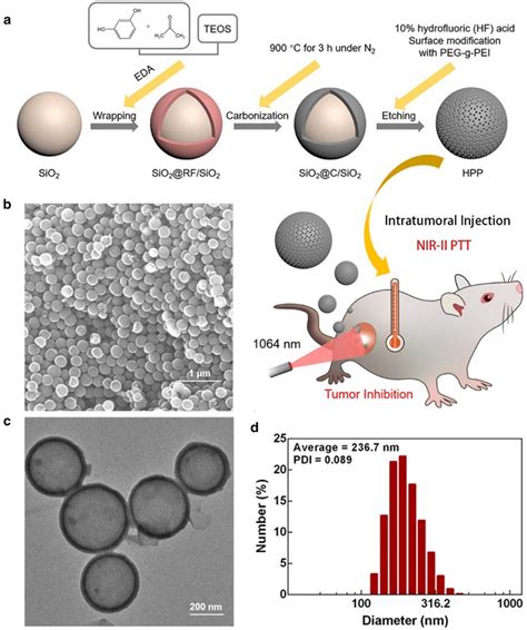 Synthesis And Characterization Of HPP A Schematic Illustration Of The Download Scientific