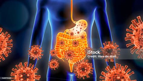위 독감의 위장염 3d 렌더링 그림에는 빨간색 바이러스 세포와 인체가 있습니다 바이러스 전염성 및 염증성 위 또는 위장관 질환 의료 및 건강 관리 개념 전염병에 대한 스톡
