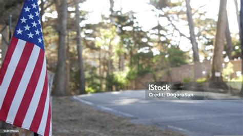 미국 국기 사이프러스 소나무 숲 17 마일 드라이브 캘리포니아 관광 도로 여행 미국에 대한 스톡 사진 및 기타 이미지 미국 숲 0명 Istock