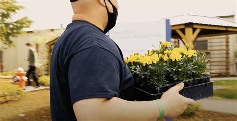 Everett Landscape Maintenance Msnw Group Everett Wa