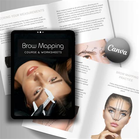Brow Mapping Canva Editable Manual Tutorial Training Course Eyebrow Measuring Brow Design