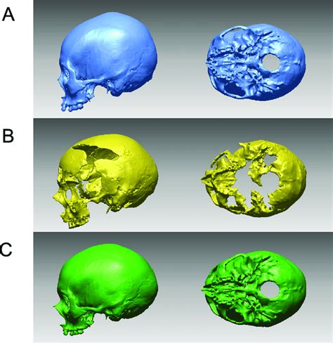 Geometric Interpolation Based On Thin Plate Spline Function A Download Scientific Diagram