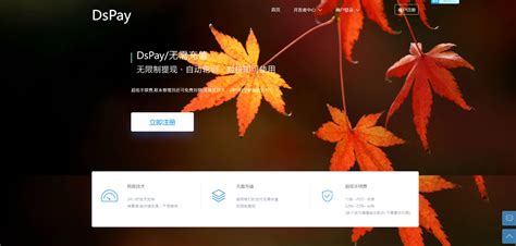 202110月修复版dspay聚合支付系统php源码带轮询带监听端app 云创源码